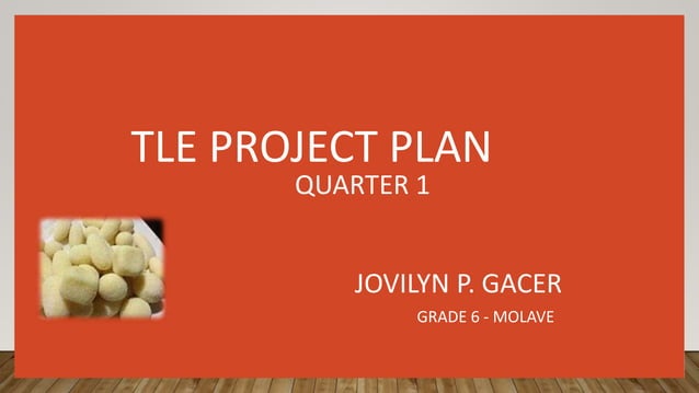 Tle project plan | PPTX