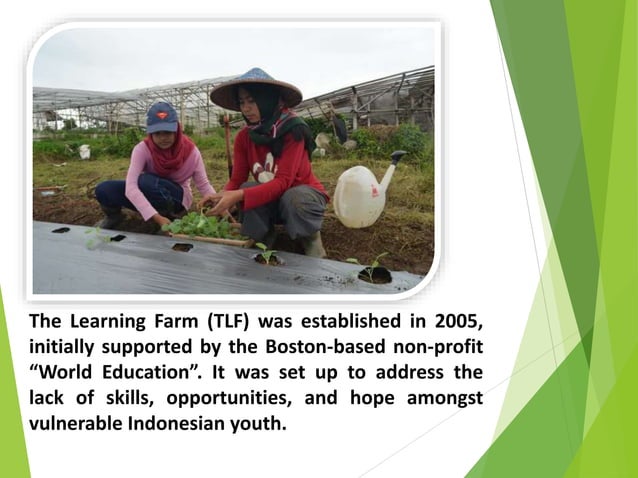 The Learning Farm Introduction | PPT