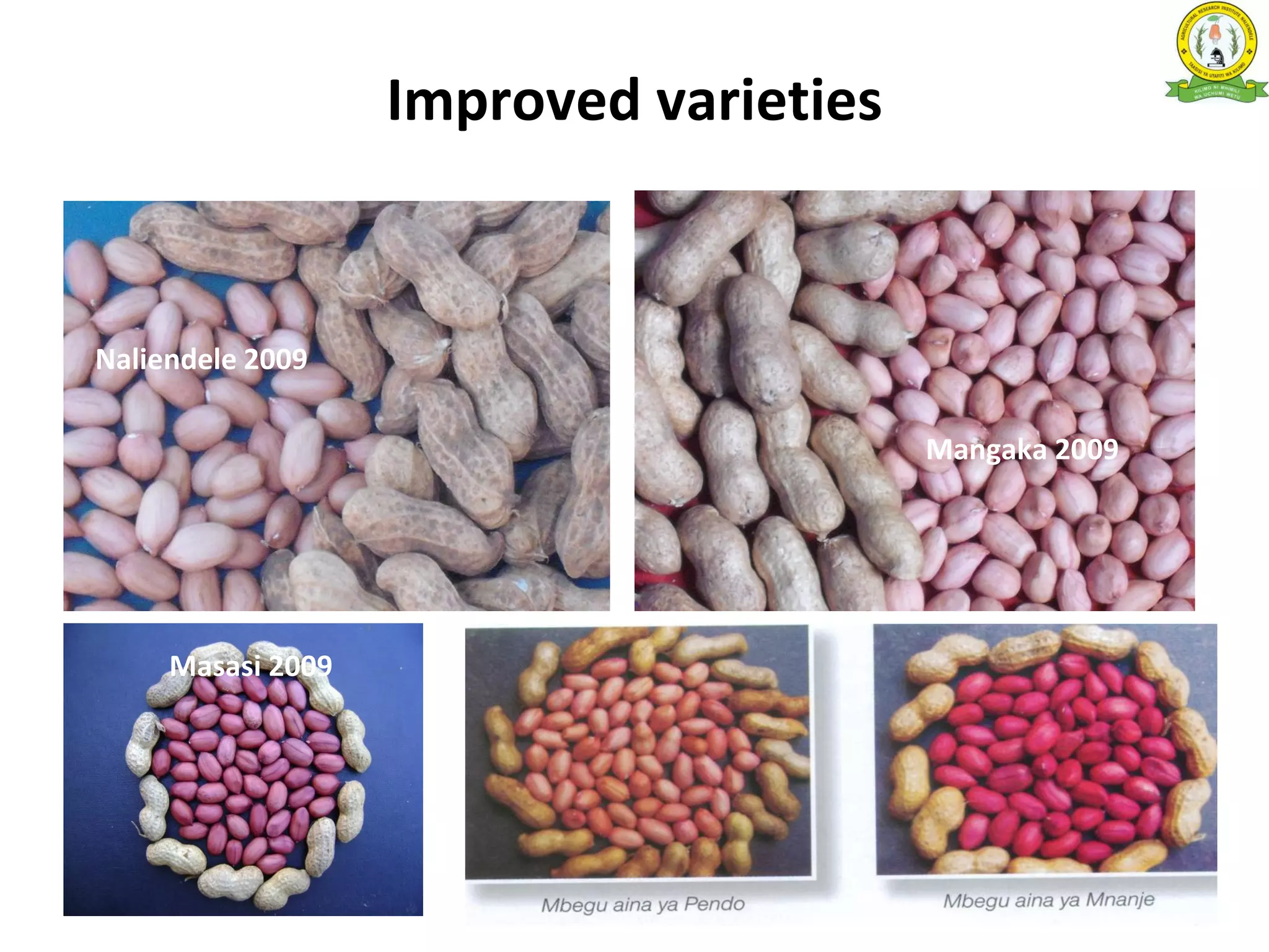 TL III Genetic Gains Program improvement Plan_Groundnut_Tanzania | PPT
