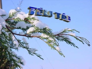 TéLi TáJ Ildy | PPS