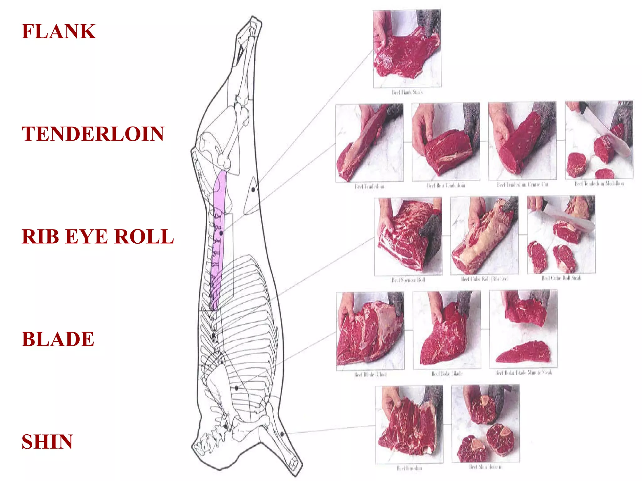 Butchery---a slideshow | PPT