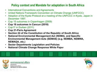 National Climate Change Adaptation Strategy for South Africa | PDF