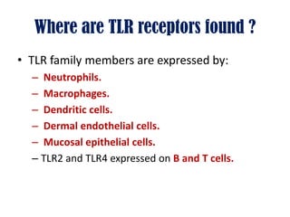 TLR | PPTX | Genetics | Science