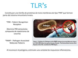 TLR -Toll Like Receptors | PPTX
