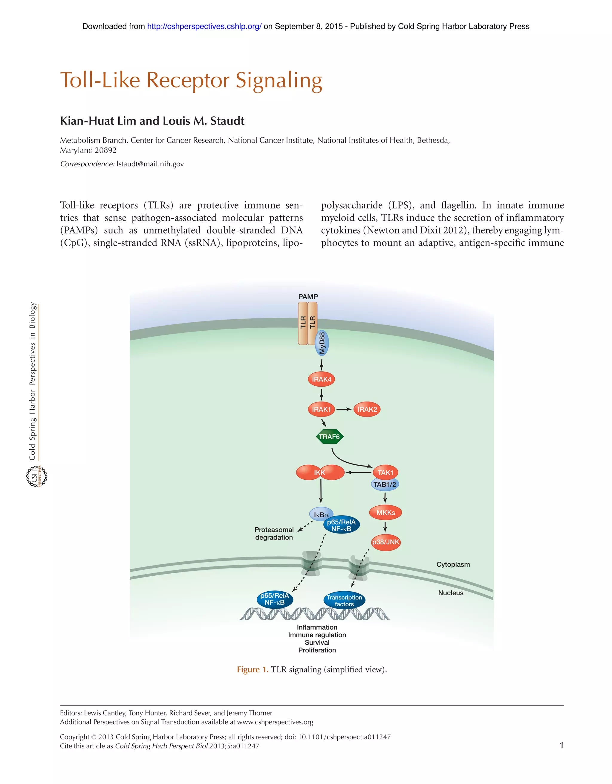 Tlr signaling 2013-lim- | PDF | Genetics | Science
