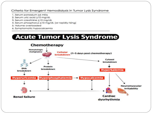 Tumor lysis syndrome | PPTX | Blood Disorders | Diseases and Conditions