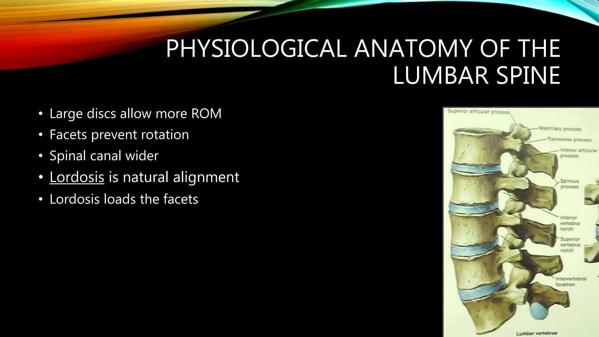Thoraco Lumbar Spine Injury | PPTX