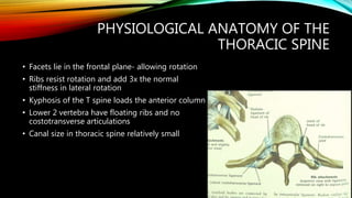 Thoraco Lumbar Spine Injury | PPTX