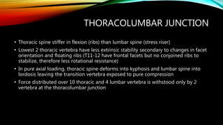 Thoraco Lumbar Spine Injury | PPTX