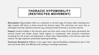 PPT TM 11 Fisio - Biomechanics Thoracic spine | PDF