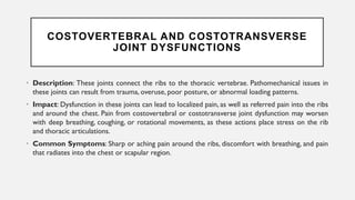 PPT TM 11 Fisio - Biomechanics Thoracic spine | PDF