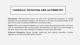 PPT TM 11 Fisio - Biomechanics Thoracic spine | PDF