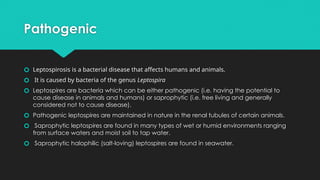 TM 12_Epidemiology of Leptospirosis.pptx