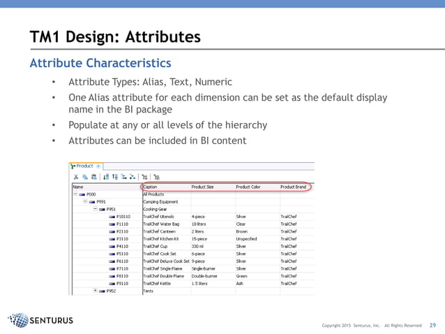 Using TM1 Cubes with Cognos BI: Three Tips for TM1 Cube Design | PDF