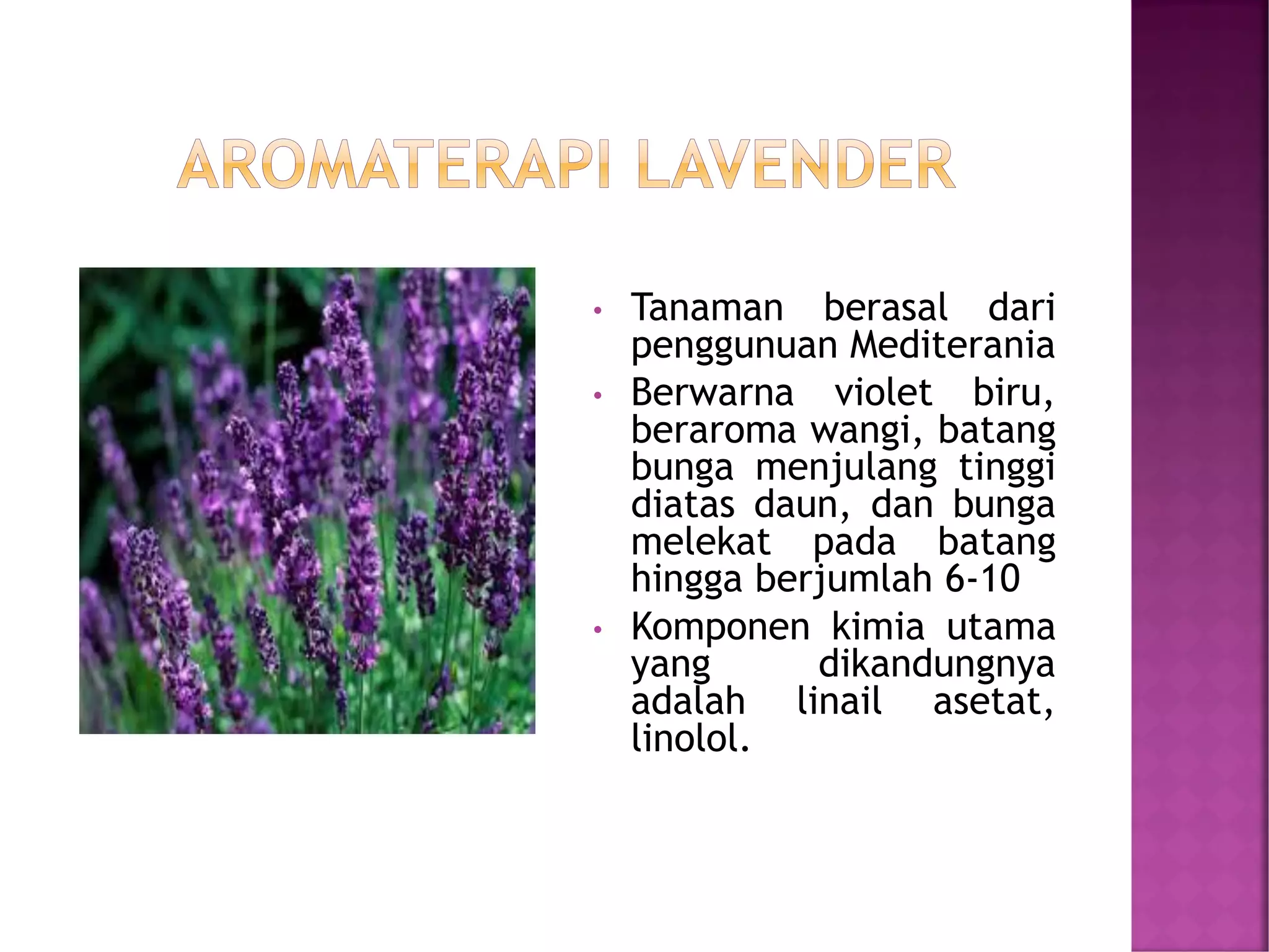 TM2-AROMA THERAPY.pdf