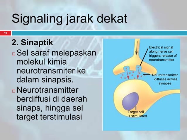 TM 7. Komunikasi Sel.pptx