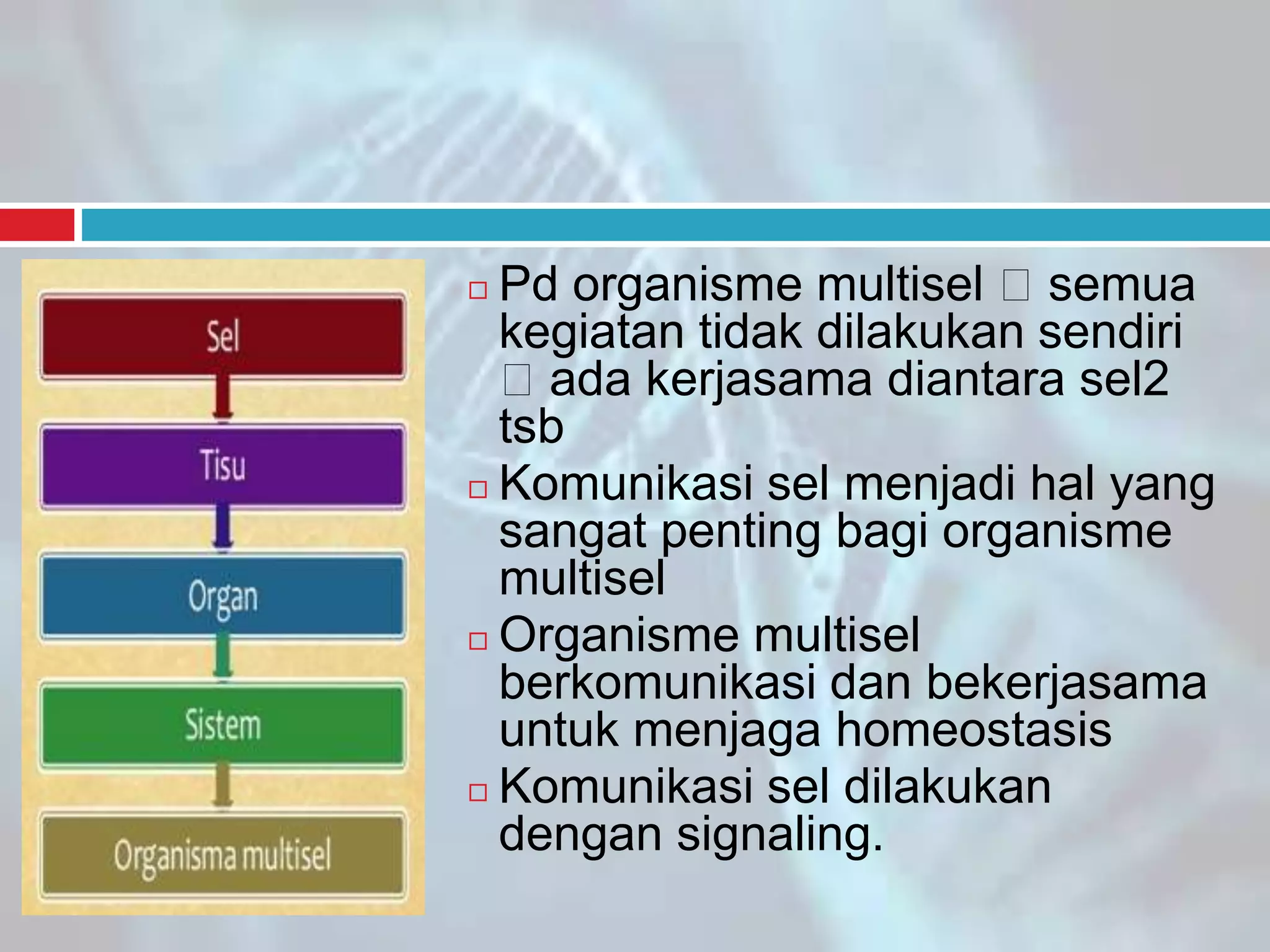 TM 7. Komunikasi Sel.pptx