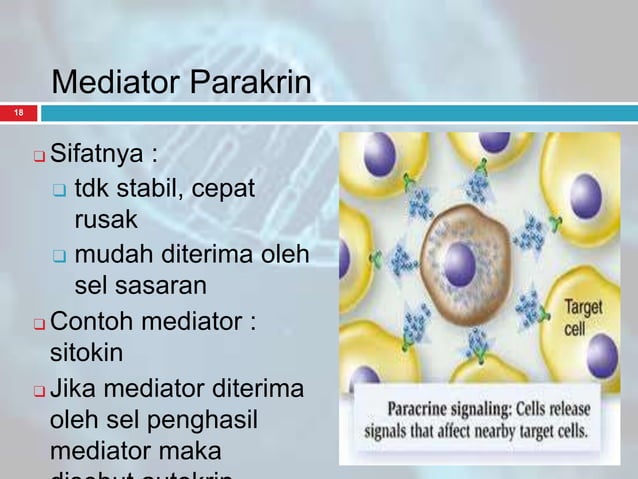 TM 7. Komunikasi Sel.pptx