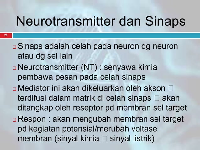 TM 7. Komunikasi Sel.pptx