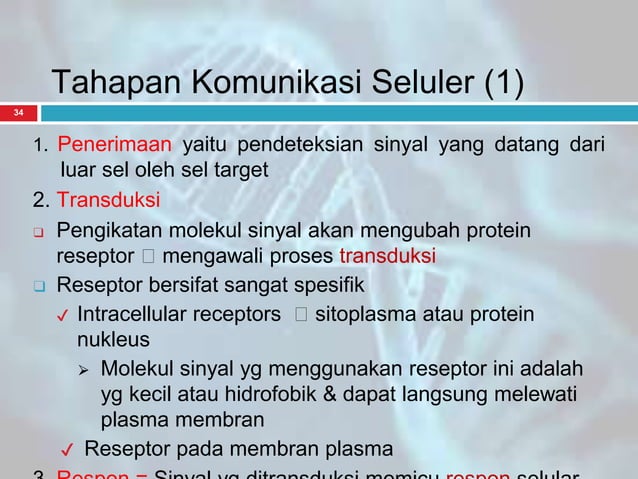 TM 7. Komunikasi Sel.pptx