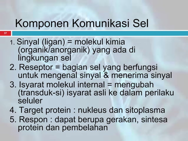 TM 7. Komunikasi Sel.pptx