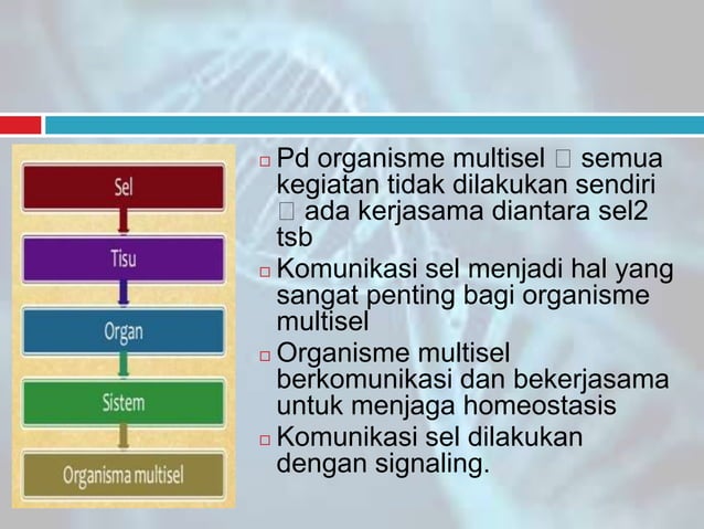 TM 7. Komunikasi Sel.pptx