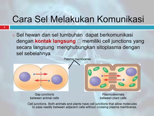 TM 7. Komunikasi Sel.pptx