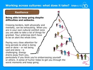 TMA World Viewpoint: Working Successfully Across Cultures | PDF