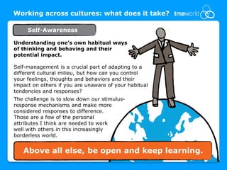 TMA World Viewpoint: Working Successfully Across Cultures | PDF