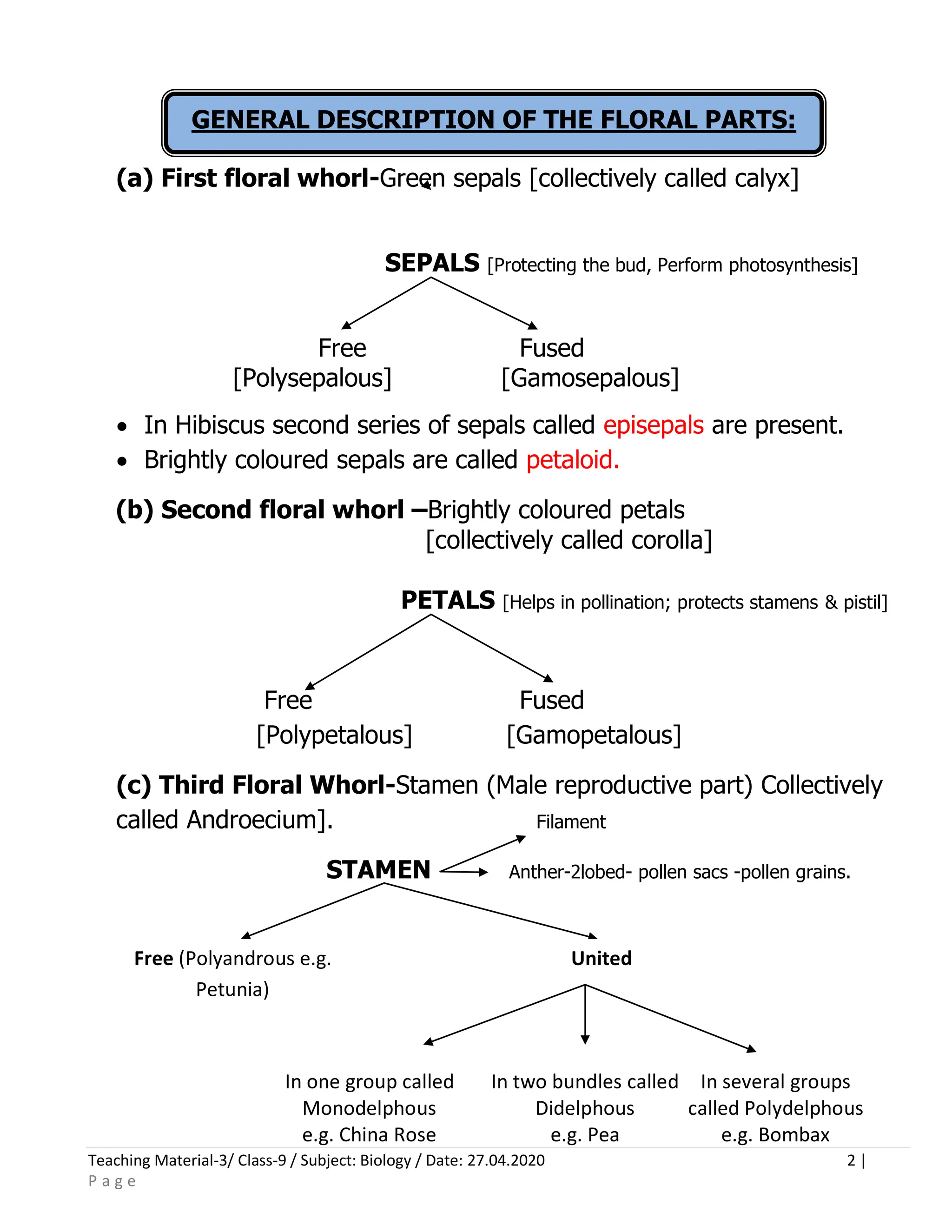 Flower Class 9 Characteristics Parts Types | PDF
