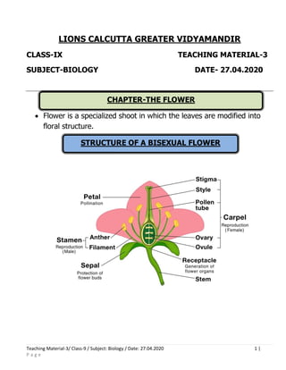 Flower Class 9 Characteristics Parts Types | PDF