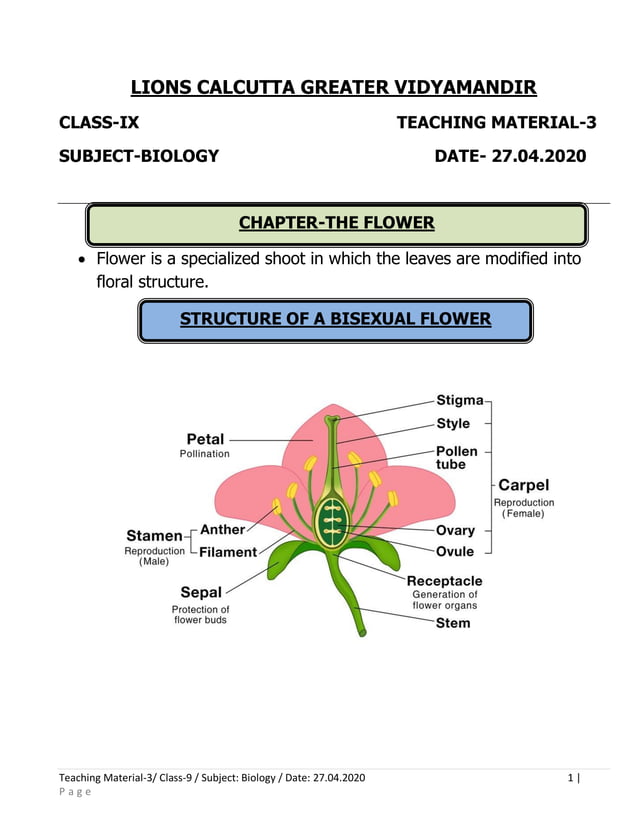 Flower Class 9 Characteristics Parts Types | PDF | Reproductive Health ...