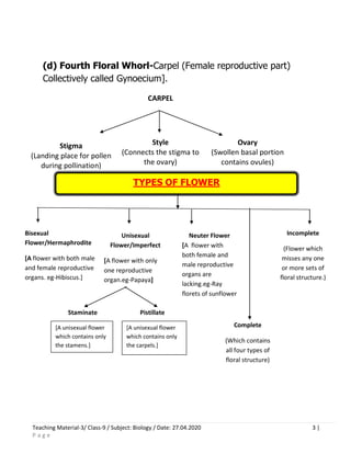 Flower Class 9 Characteristics Parts Types | PDF