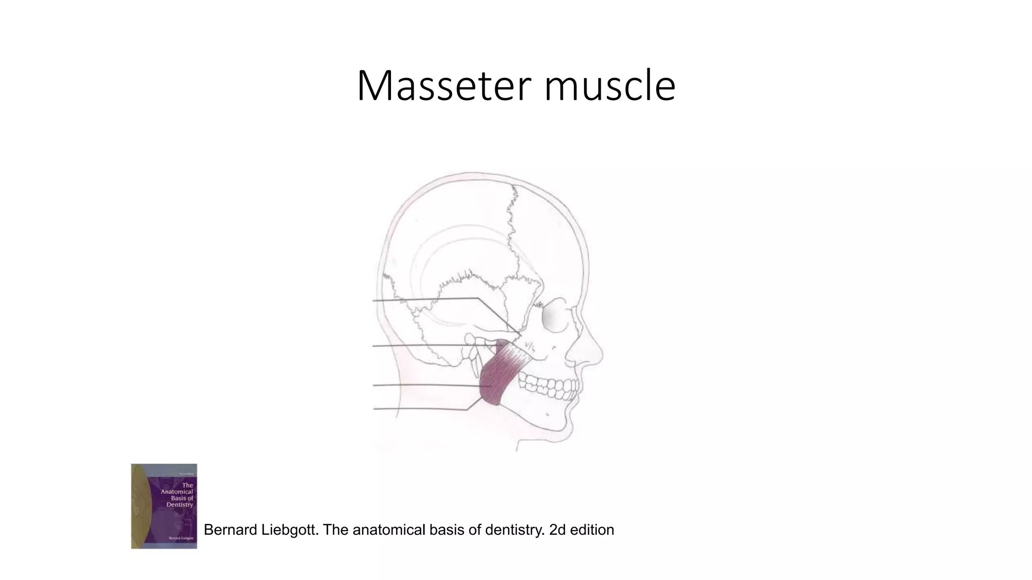 Temporomandibular Joint Disorders (TMD) | PPTX