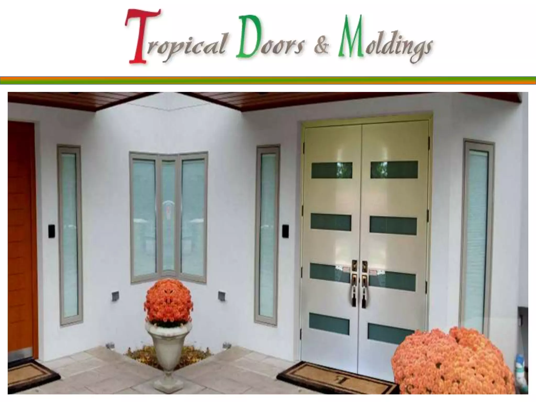 Florida Approved Impact Doors | PPT