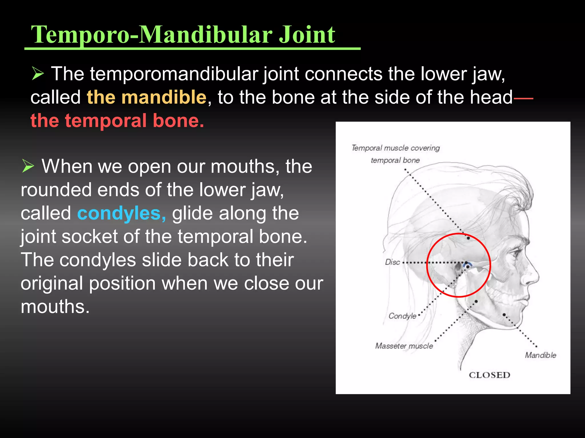 TMD's and occlusal splint therapy | PDF