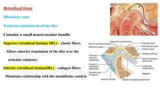TMDs Assesment and management og TMJ disorders, TMJ mobilization | PPTX