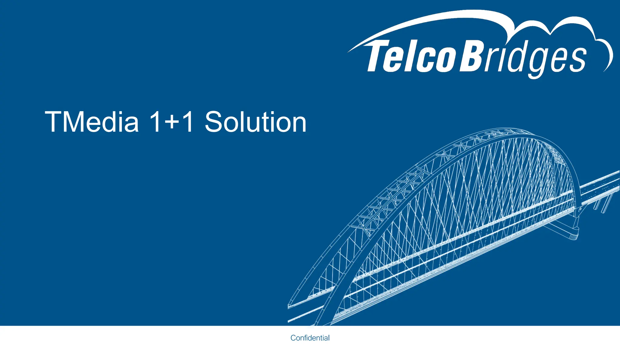 Tmedia 1+1 Solution Technical Training from TelcoBridges | PDF