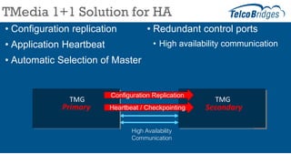 Tmedia 1+1 Solution Technical Training from TelcoBridges | PDF