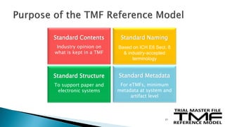 TMF PDF.pdf