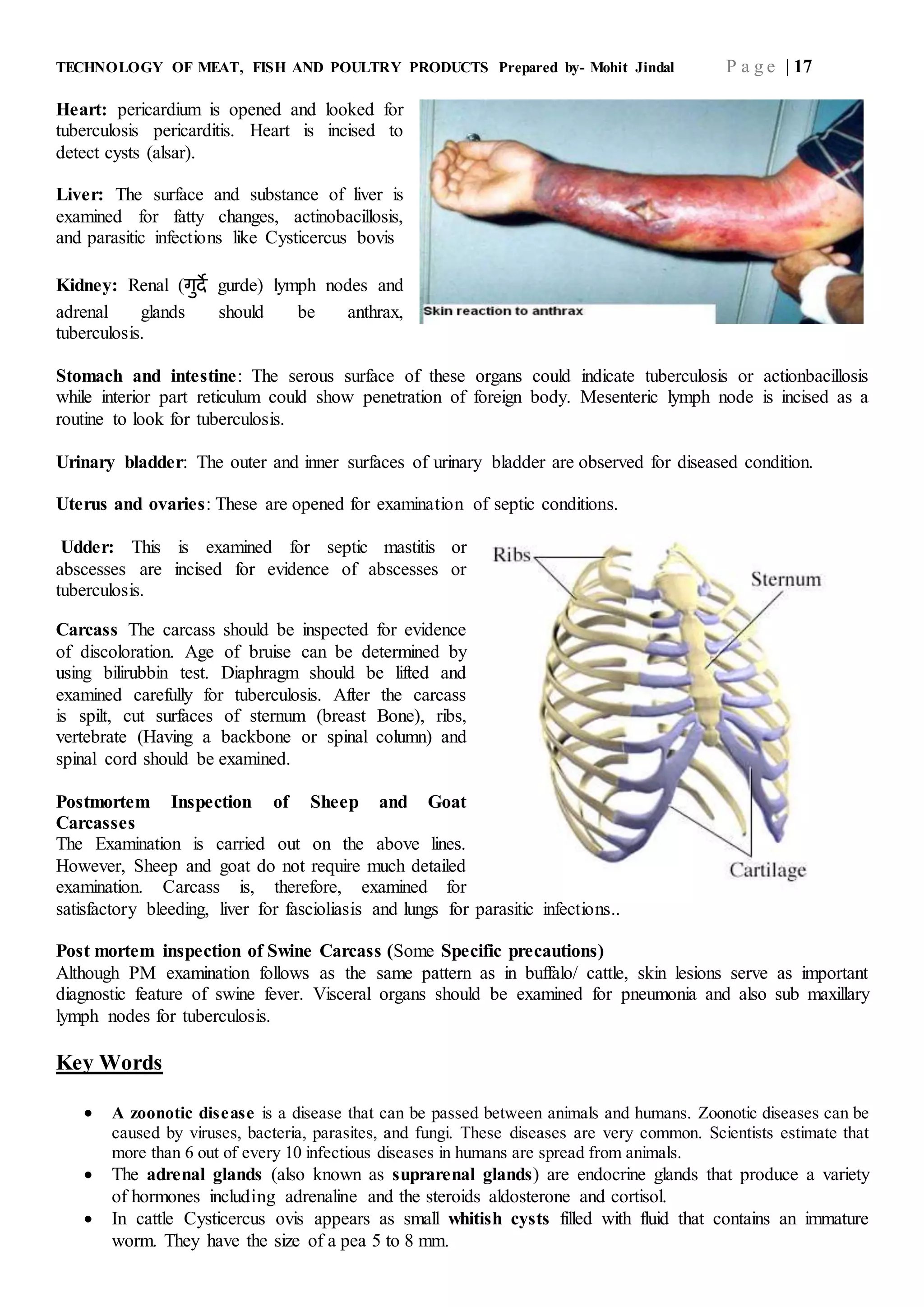 TECHNOLOGY OF MEAT, FISH AND POULTRY PRODUCTS | DOCX