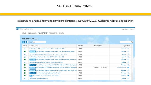 SITIST 2015 Dev - Abap on Hana | PDF