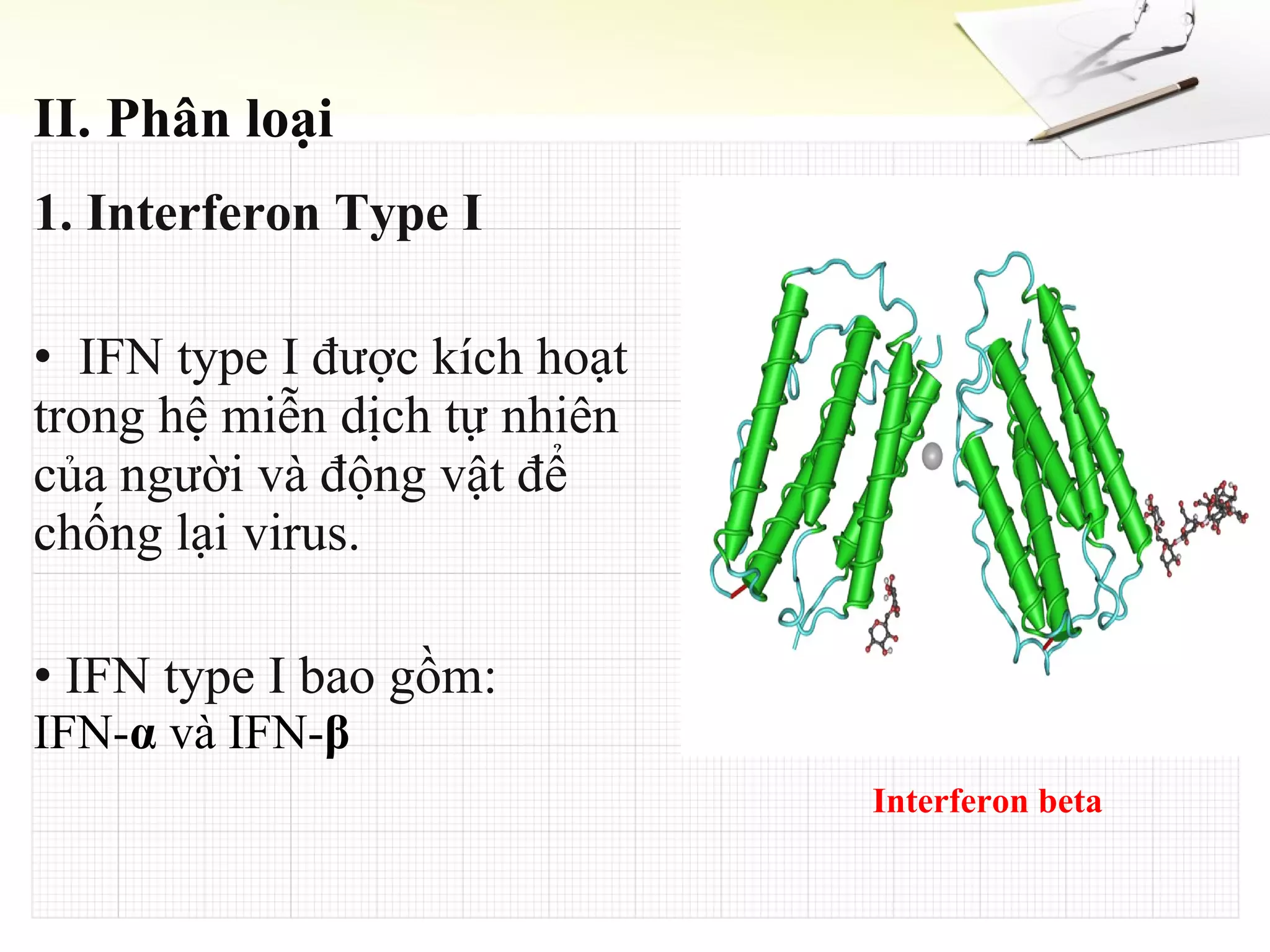 Tìm hiểu về interferon | PPT