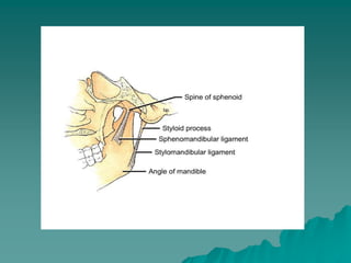 anatomy of Tmj | PPT