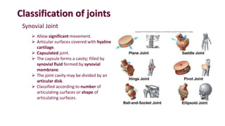 TEMPROMANDIBULAR JOINT | PPTX
