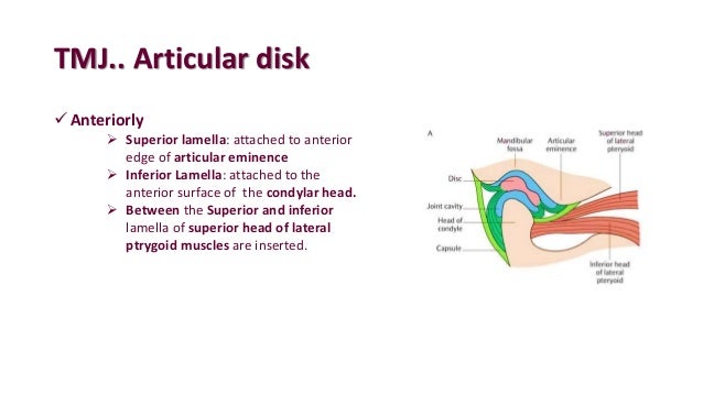 TEMPROMANDIBULAR JOINT
