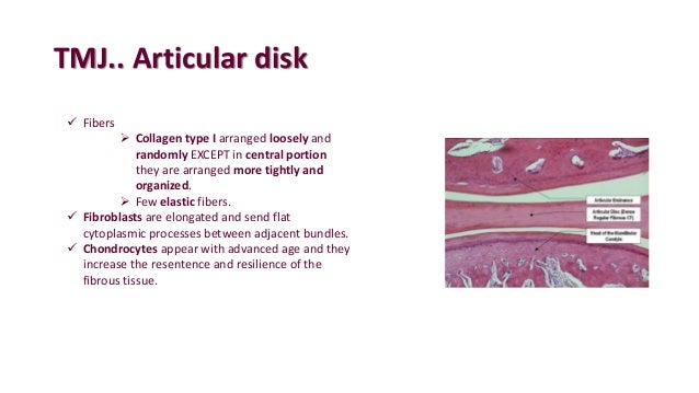 TEMPROMANDIBULAR JOINT