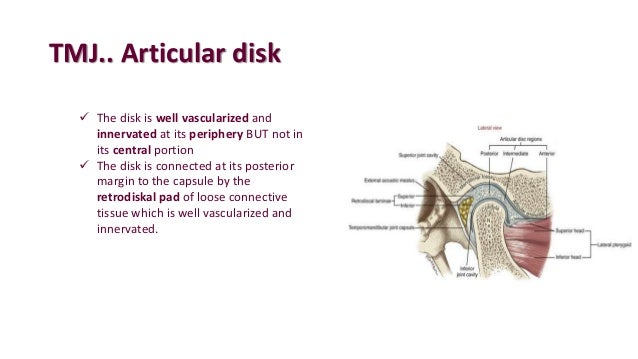 TEMPROMANDIBULAR JOINT