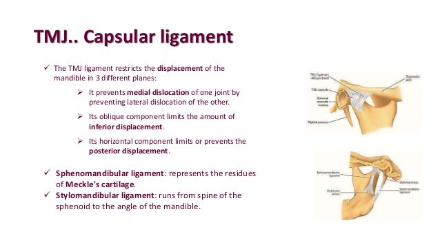 TEMPROMANDIBULAR JOINT