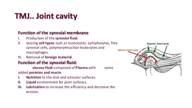 TEMPROMANDIBULAR JOINT